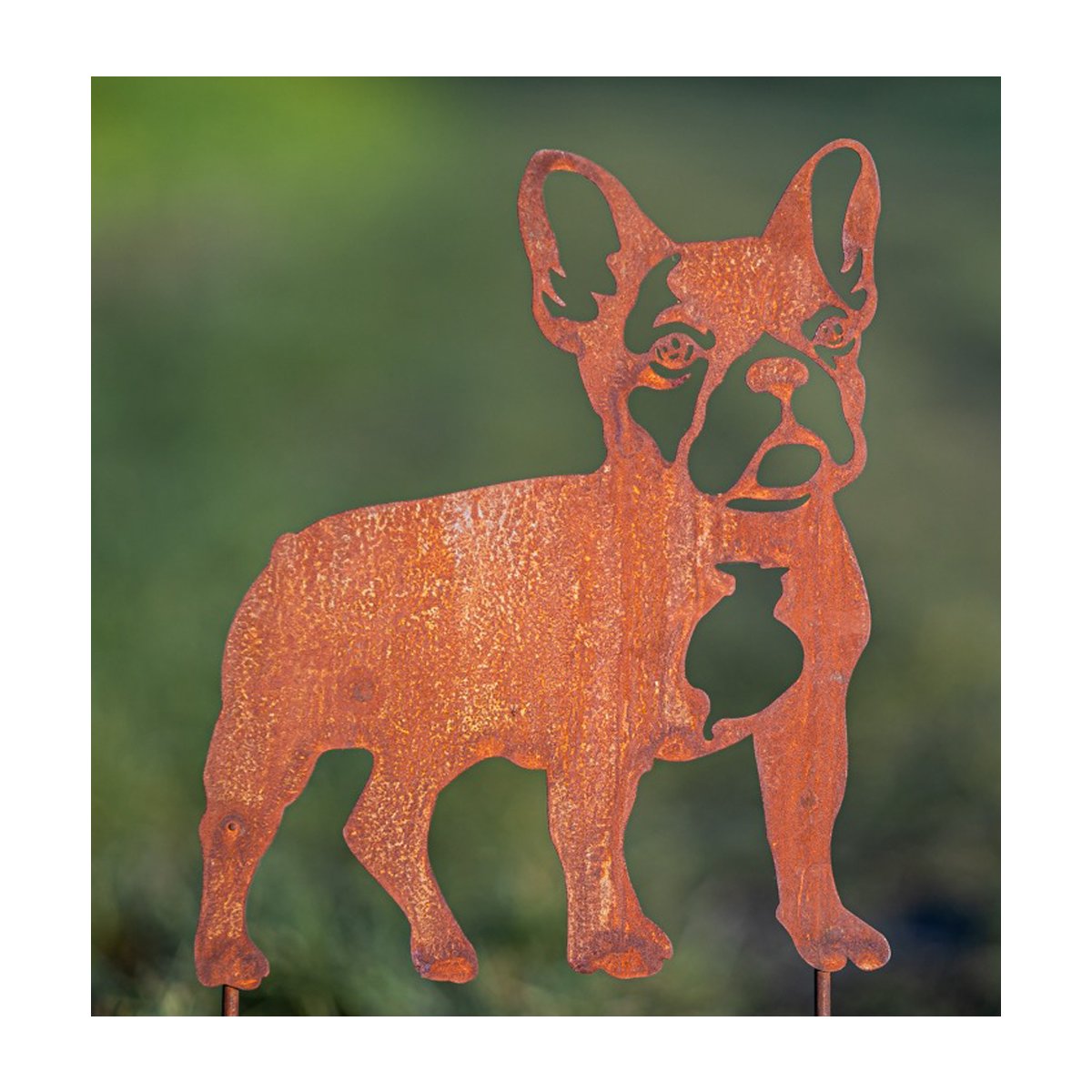 Gartenstecker Bulldogge im Rost Design - Rostfigur Hund für den Garte ...